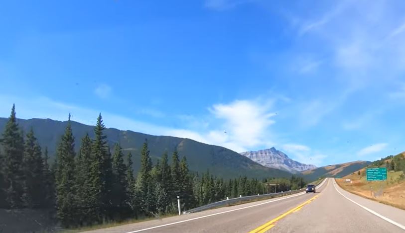 The Creature with No Neck