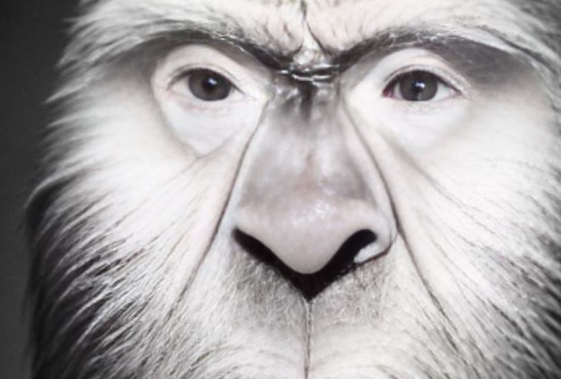 The Tragic Tale of Zana: A Human or Something Else?